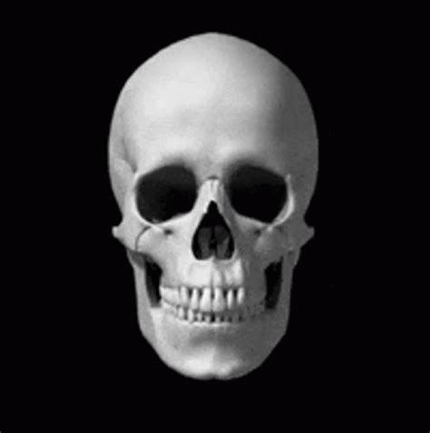 Skull Explode GIF Skull Explode Discover Share GIFs Skull Explode GIF Skull Explode Discover Share GIFs