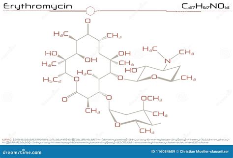 Erythromycin Molecule It Is Bacteriostatic Antibiotic Drug Belongs To The Macrolide Group