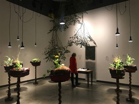 Native Range Jennifer Borders