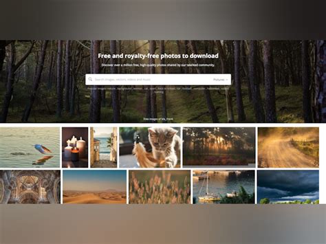 Pixabay Cost And Reviews Capterra Australia 2025