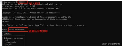 数据库开发环境的搭建数据库搭建 Csdn博客