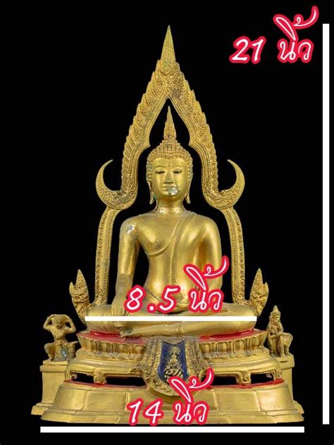 เว็บ วุดดี้ชลบุรี ซื้อขายพระเครื่องของวุดดี้ชลบุรี