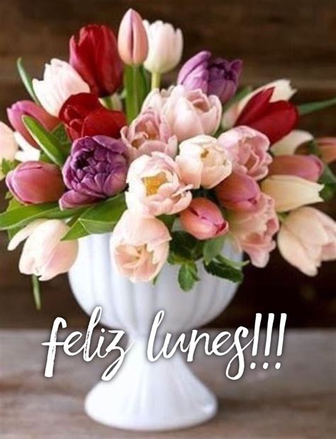 Feliz Inicio De Semana Feliz Lunes Feliz Semana Feliz Día Lunes