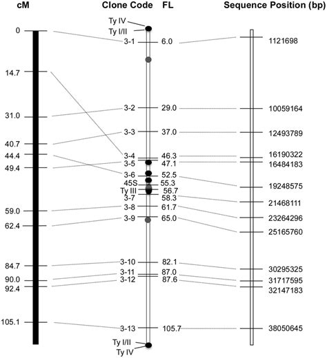 Integration Of Genetic Linkage Map Of Cucumber Chromosome 3 With