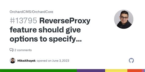 Reverseproxy Feature Should Give Options To Specify Allowed Hosts To Prevent Spoofing · Issue