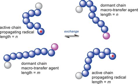 Living And Controlled Reversible‐activation Polymerization Rap On The