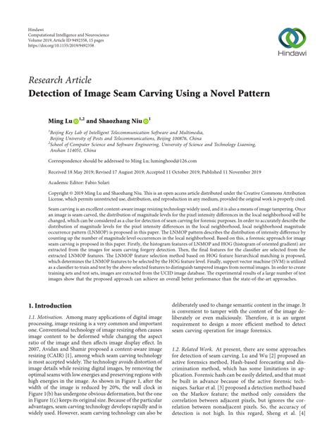 pdf detection of image seam carving using a novel pattern