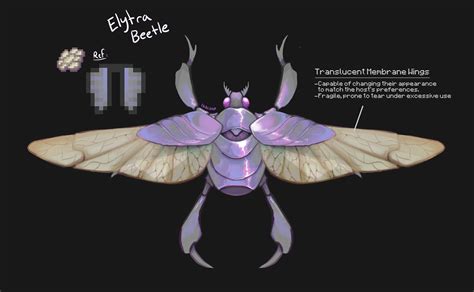 My Personal Take On The Elytra Scrolller