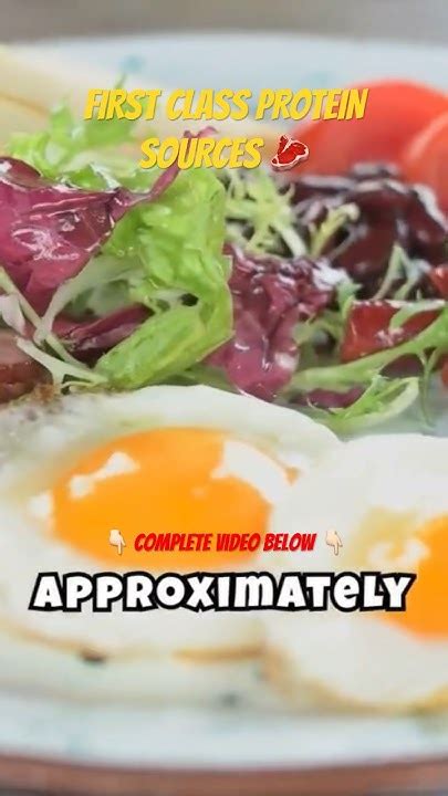 First Class Protein Sources 🥩 6 Youtube