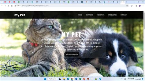 Html Css Javascript Clase 33 PÁgina Web Mascota Parte 6 Pie De