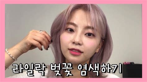 다솔뷰티 봄맞이 라일락 벚꽃 염색하기 벚꽃 핑크염색 라일락염색 Youtube