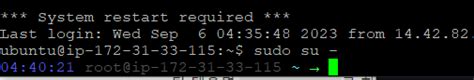 [docker] aws ec2 ubuntu 에서 docker로 웹 띄우기
