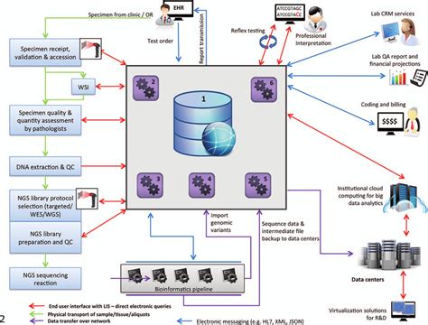 Schematic Diagram Showing The Molecular Laboratory Information System