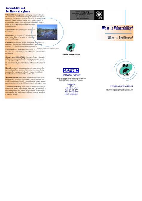 Pdf Vulnerability Pamphlet Dokumen Tips