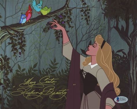 Voice Of Sleeping Beauty