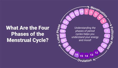 How To Track Menstrual Cycle Length Accurately Premom