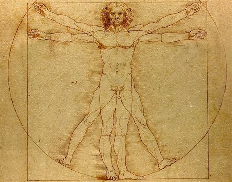 06화 비투루비우스적 인간