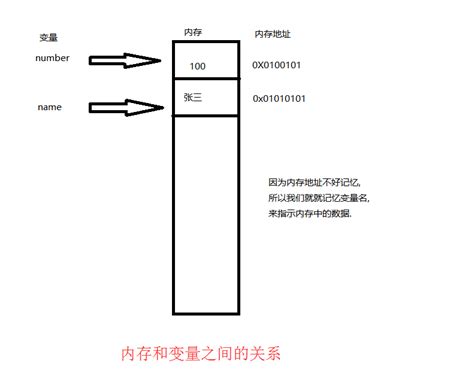 3变量的存储以及变量的几种类型 Csdn博客