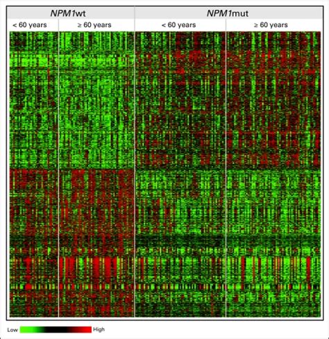 Favorable Prognostic Impact Of Npm1 Mutations In Older Patients With