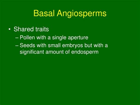 Ppt Angiosperms Powerpoint Presentation Free Download Id5518425