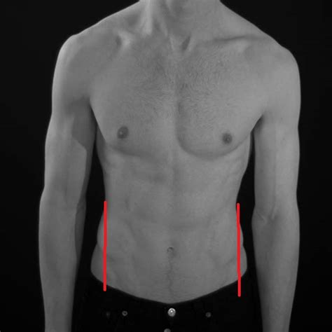 Male Waist To Hip Ratio What Is Optimal How To Measure Can We