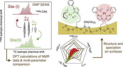 由动态核极化增强间接检测到的 195pt Nmr 光谱特征和指纹分析揭示的 N 杂环卡宾配体稳定的 Pt 表面位点的形态和结构 Journal