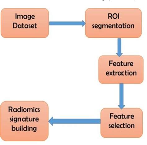 Figure 3 From A Review On Radiomics And Machine Learning Algorithms In Prediction And