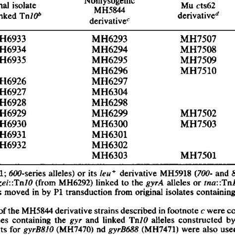 Strains With Gyra And Gyrb Mutations Download Table
