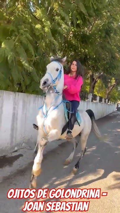 Ojitos De Golondrina Joan Sebastian Youtube