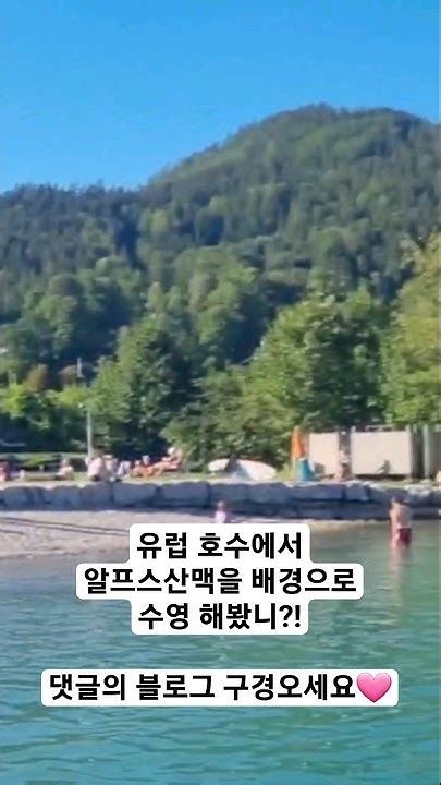 유럽 호수에서 알프스 산맥을 배경으로 수영하기 오스트리아 잘츠부르크 근교 장크트볼프강 호수 Youtube