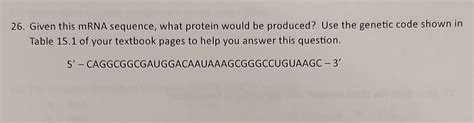 Solved Given This Mrna Sequence What Protein Would B