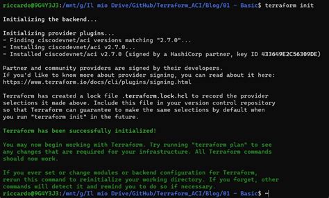 Riccardo Nalesso On Linkedin Cisco Aci Deployment With Terraform Basic