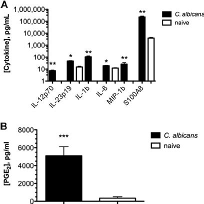 Validation Of RNA Seq Results At Day 3 P I RNA Seq Results Were Download Scientific Diagram