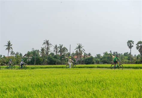 아침 시골 자전거 투어 씨엠립 Kkday