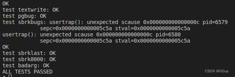 2022 xv6 lab cow实验 copy on write 代码实现 csdn博客