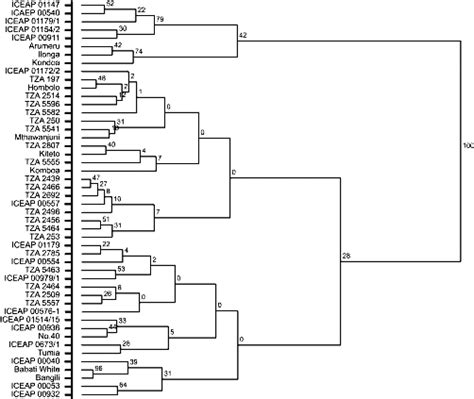 Unweighted Pair Group Method With Arithmetic Mean Upgma Dendrogram