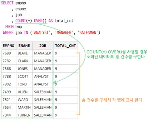 Oracle 오라클 Count Over 사용법 Partition By
