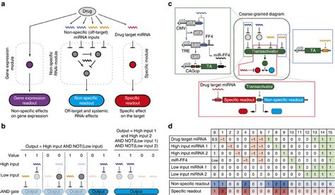 Assay Design And Validation Strategy A High Level Representation Of Download Scientific