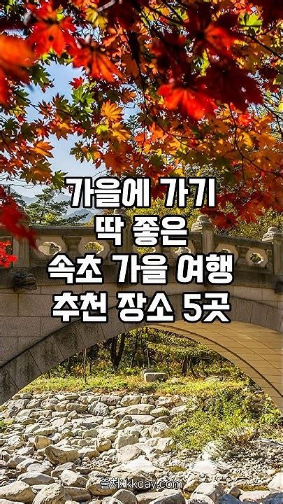 가을에 무조건 가야하는 강원도 속초 여행 추천 장소 5곳 속초여행 가을여행지추천 Youtube