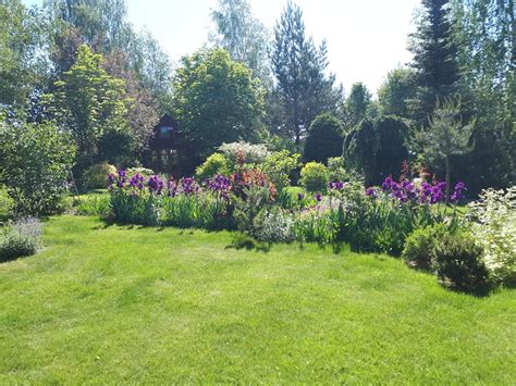 Ландшафтный дизайн проект и создание садов под ключ Цветники миксбордеры декоративные опушки