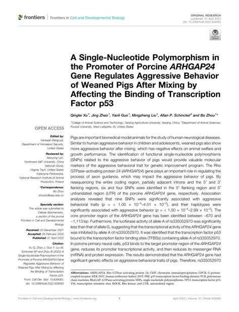 Pdf A Single Nucleotide Polymorphism In The Promoter Of Porcine Arhgap24 Gene Regulates
