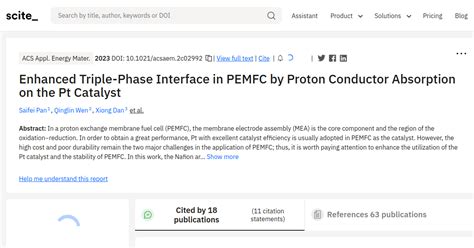 Enhanced Triple Phase Interface In Pemfc By Proton Conductor Absorption On The Pt Catalyst