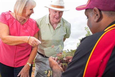 Best Things To Do At Night In Adelaide Sa Australia Trip