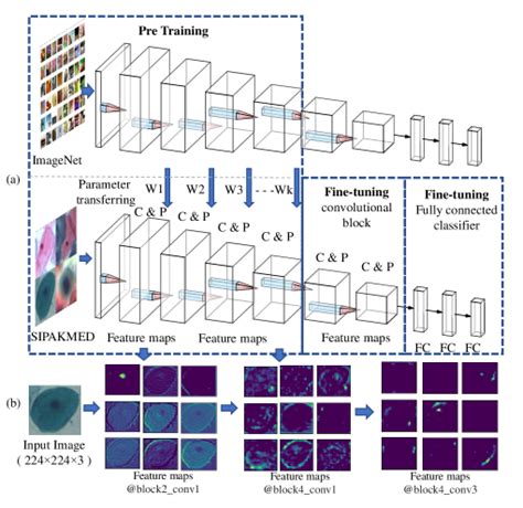 210212191 Deepcervix A Deep Learning Based Framework For The