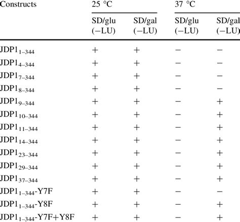 Effect Of A Series Of N Terminal Truncations Of Jdp1 Or Mutants Of Jdp1