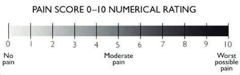 numeric rating scale download scientific diagram