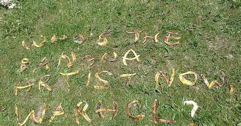 “art Is What You Can Get Away With” Andy Warhol Imgur