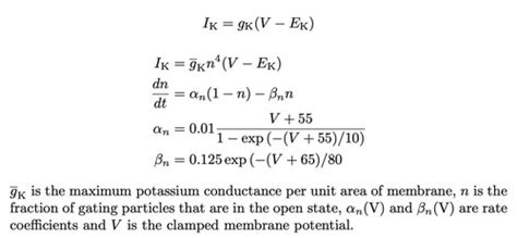 2 Hodgkin Huxley Model Flashcards Quizlet