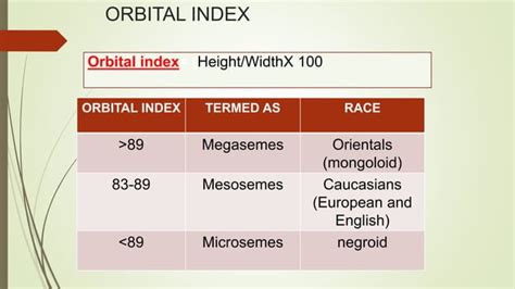 Anatomy Of Human Orbit PPTX