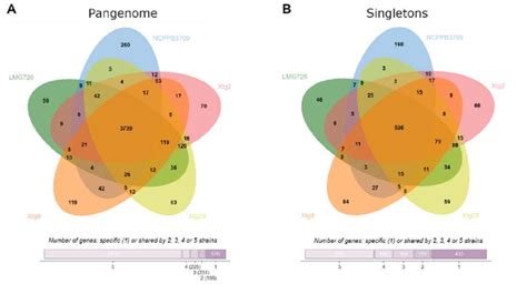 A Pangenome Ie Total Gene Content Of The Five Xanthomonas